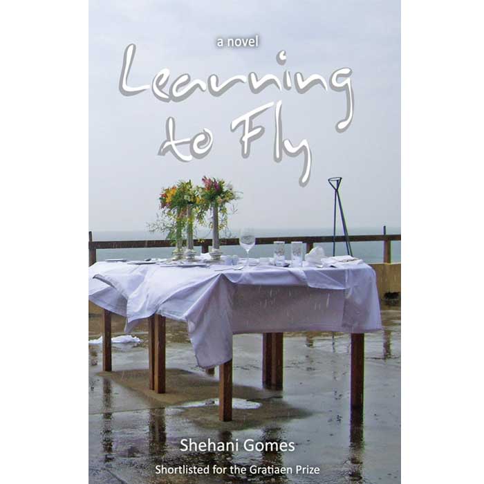 Learning To Fly – Lake View Ink – Home Page